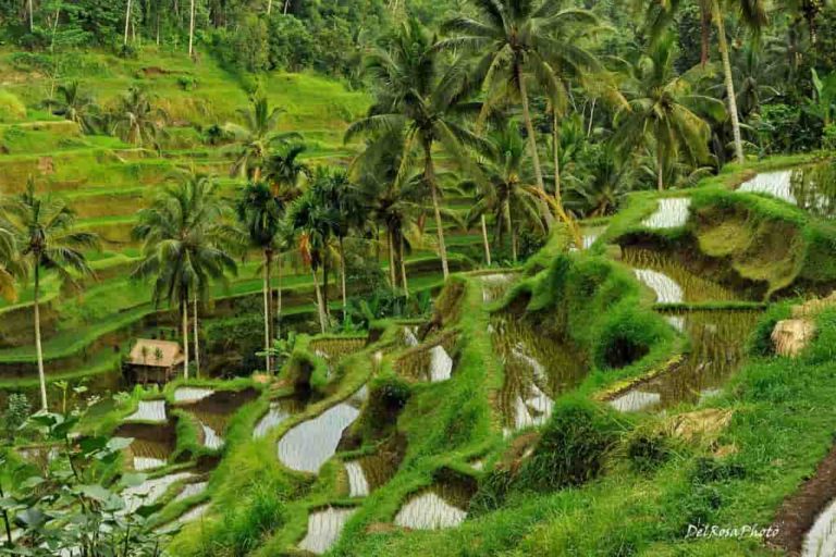 10+ Best Honeymoon Places in Bali | Best Places to Visit in Bali 2020