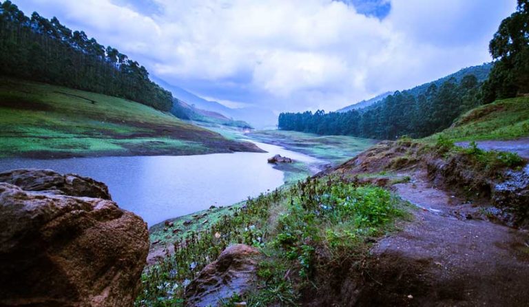 10 Best Places to Visit in Munnar | Holiday Destinatios in Munnar |HB