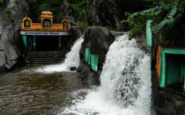 18 Best Places to Visit in Ooty for Honeymoon Trip