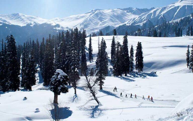 Top 14 Reasons Why Winters is the Best Time to Visit Kashmir