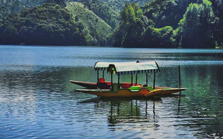 12 Best Things to Do in Munnar | Adventure Activities in Munnar