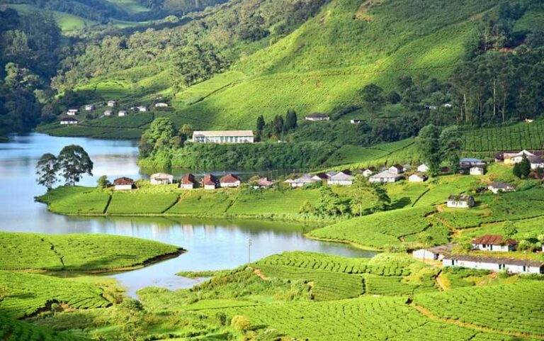 12 Best Things to Do in Munnar | Adventure Activities in Munnar
