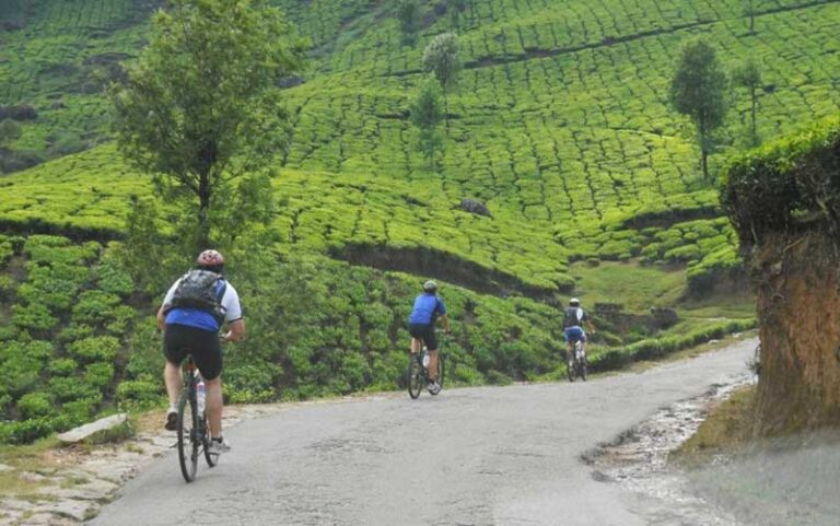 12 Best Things to Do in Munnar | Adventure Activities in Munnar