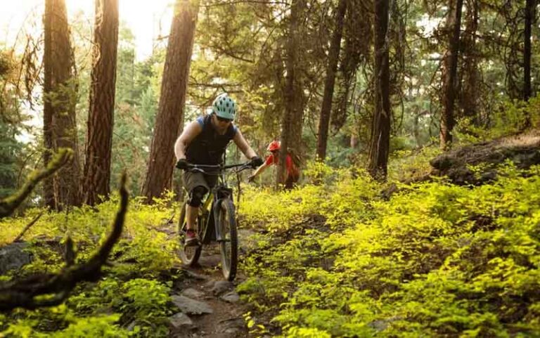 13 Best Adventure Activities in Sikkim to Embrace the Detour ...