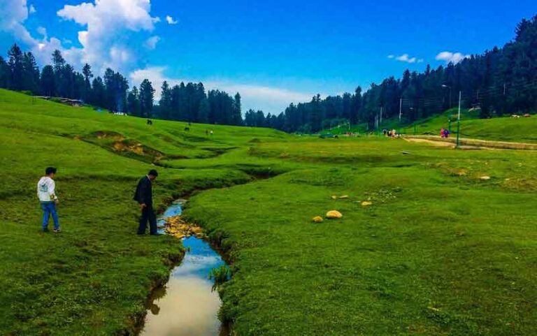 Kashmir in August : Places to Visit, Things to Do, Weather