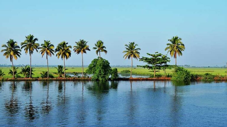 8 Best Backwater Destinations in Kerala for Houseboat Cruise