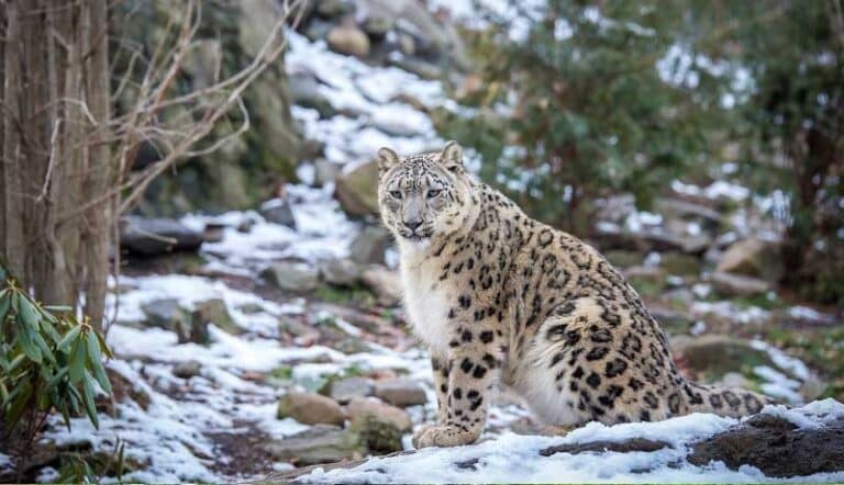 Manali in August : Places to Visit, Things to Do, Weather - Honeymoon Bug