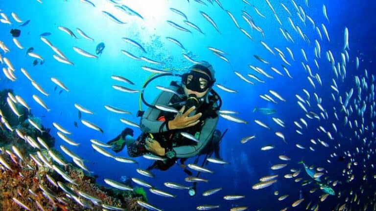 9 Best Places for Scuba Diving in Goa - Honeymoon Bug