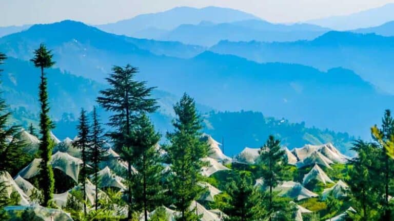 10 Best Places to Visit in Shimla in March 2025 - Honeymoon Bug