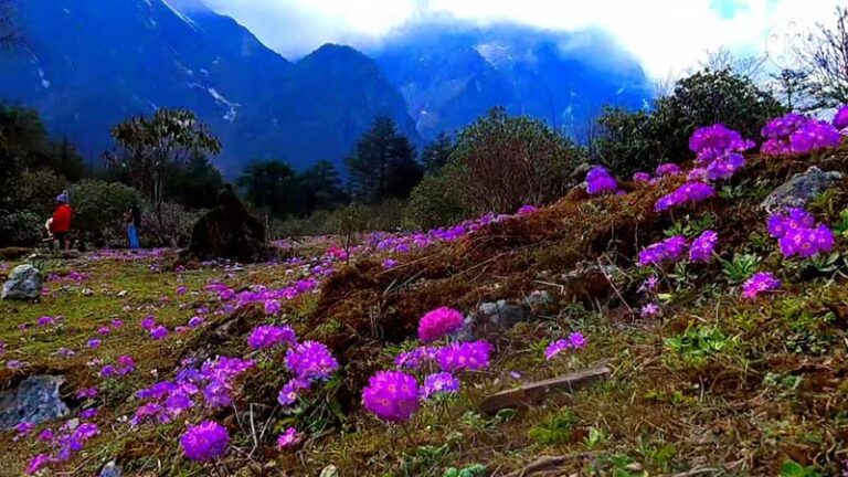 8 Best Places to Visit in Sikkim in March 2025 - Honeymoon Bug