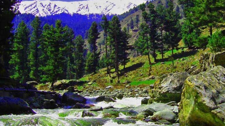 Gulmarg Trip in April 2025: Things to Do & Best Places to Visit