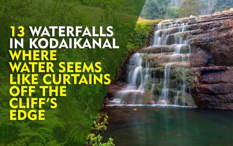 13 Stunning Waterfalls in Kodaikanal You Must Visit (2023)