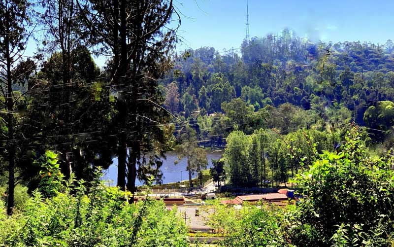 23 Best Honeymoon Resorts in Kodaikanal (with Prices) 2023