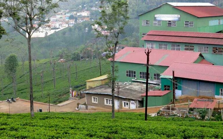 16 Most Romantic Things to do in Ooty for Couples + 10 FAQs
