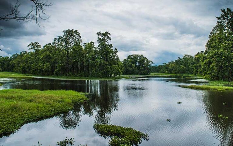 10 Best Places to Visit in Chitwan for Splendid Vacations - Honeymoon Bug
