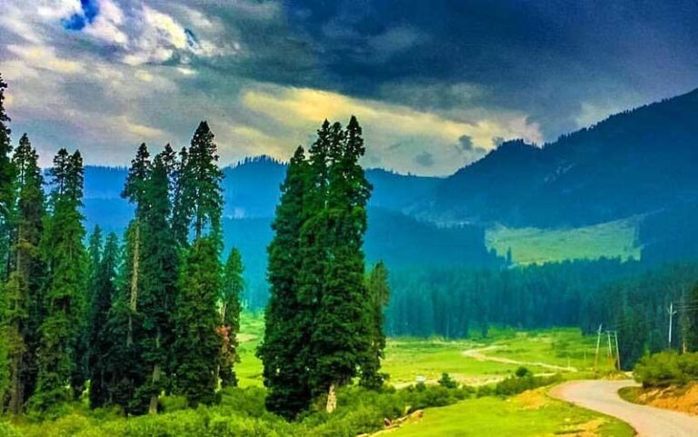 Kashmir in November – Best Places to Visit & Things to Do in 2025