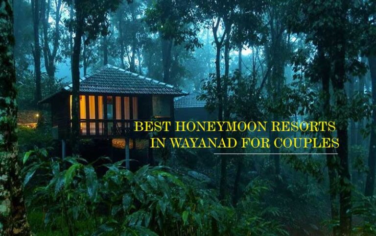 24 Best Resorts in Wayanad for Honeymoon Couples @30% Off