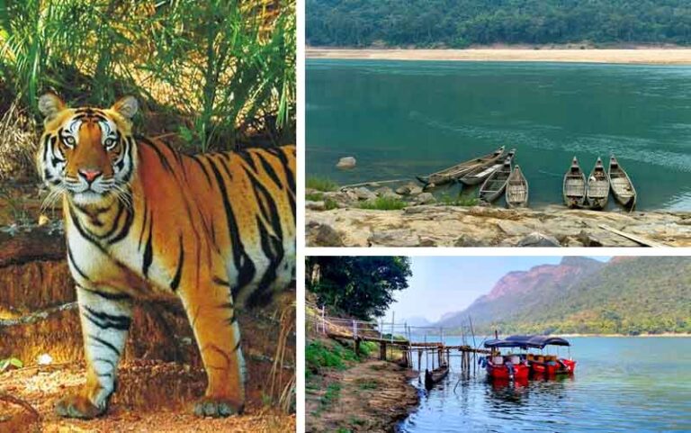 8 Best Honeymoon Places in Odisha: Check Out the List Here - Honeymoon Bug