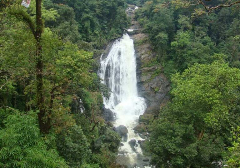 12 Best Waterfalls in Munnar: 2023 (Location & Best time to Visit)