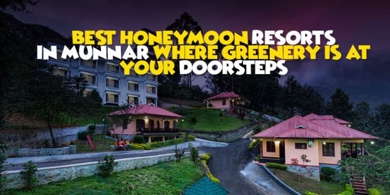 30 Best Honeymoon Resorts in Munnar 2024 (with Prices)