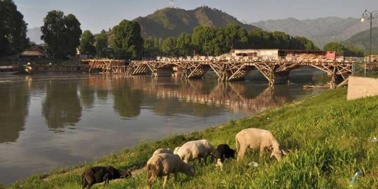 10 Best Restaurants in Srinagar to try Kashmiri Cuisine