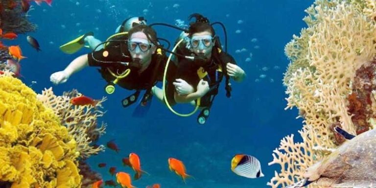 14 Best Destinations for Scuba Diving in Maldives - Honeymoon Bug