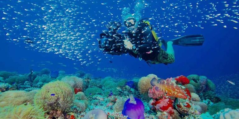14 Best Destinations for Scuba Diving in Maldives - Honeymoon Bug